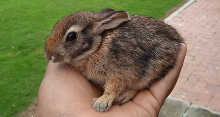 PolyTripper - Trucos para mejorar tu español sin moverse de casa