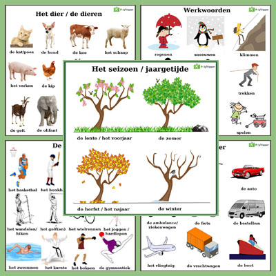 PolyTripper - Dutch Vocabulary - Set 6