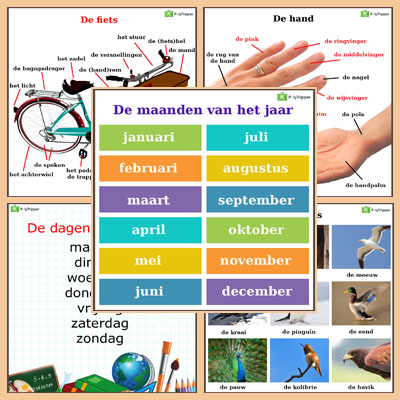 PolyTripper - Resources